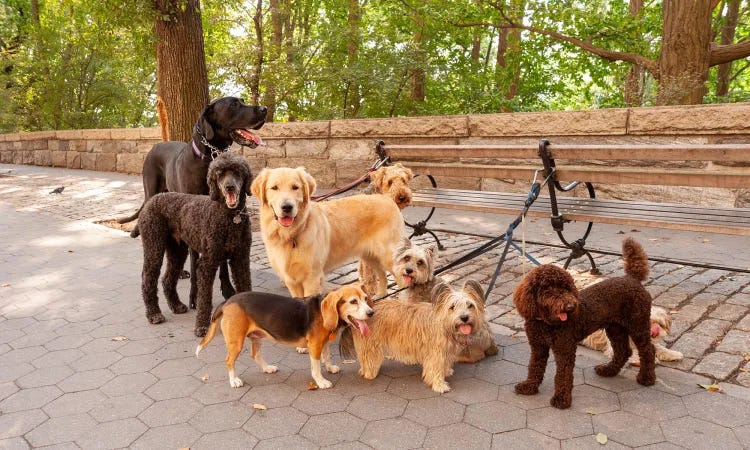 🐕 Now Klaus Schwab and the Psycho Nutjobs at the WEF Want To Take Away ...