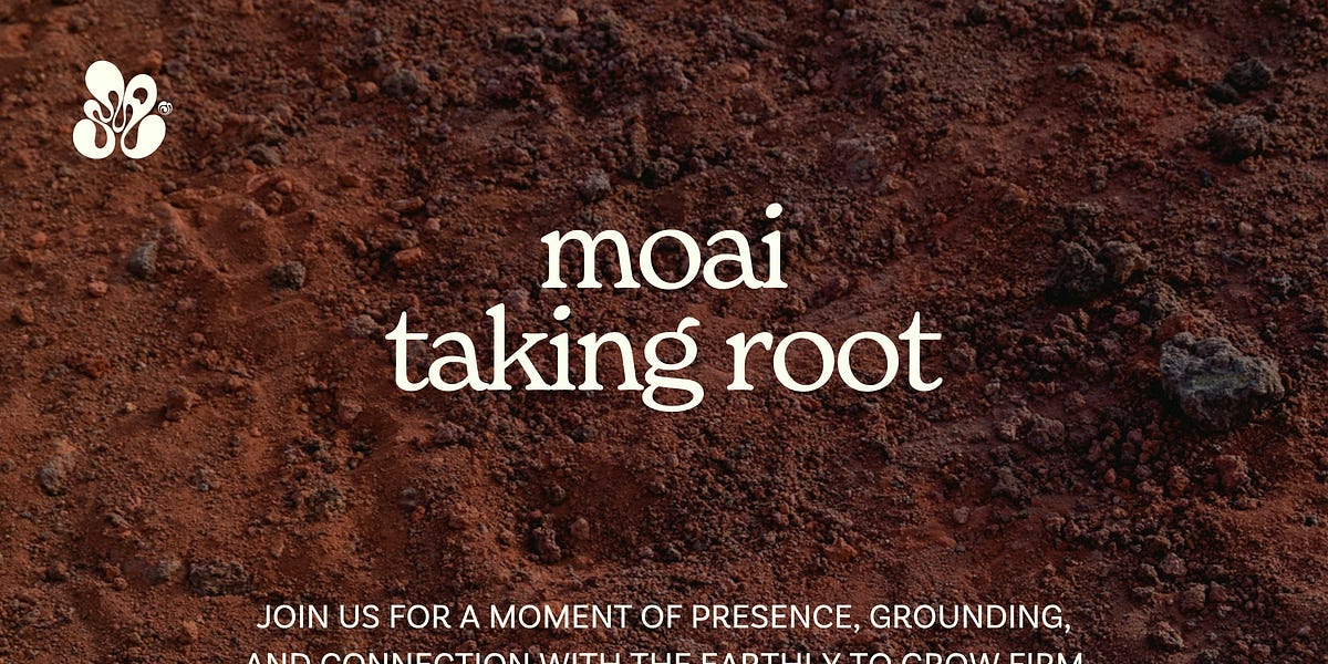 You're invited to take root 🌱 - by moai (mo,eye)