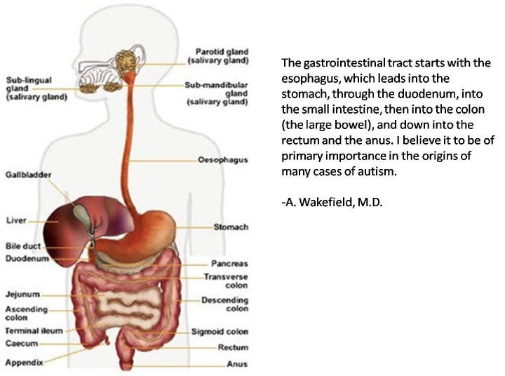 Biomedical Interventions to Improve Behavior, Memory, and Learning