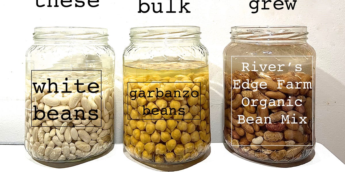 Newsletter #37 - by Priscilla Woolworth