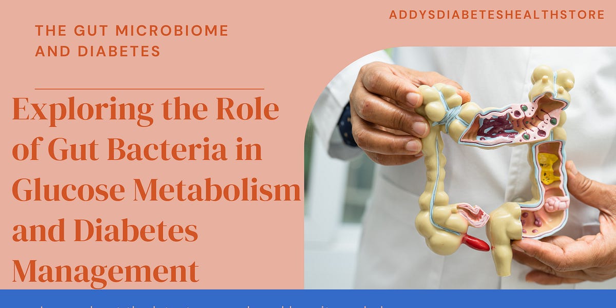 THE GUT MICROBIOME AND DIABETES: EXPLORING THE ROLE OF GUT BACTERIA IN ...