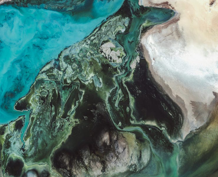 Lake Macleod, Western Australia - Daily Overview