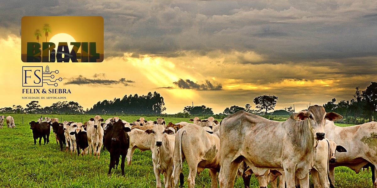 Don't Miss Out on the Brazilian Rural Real Estate Opportunity: Get ...