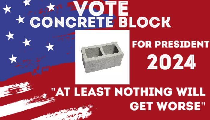 Official Endorsement for President - by N.S. Lyons