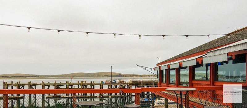 Bodega Bay Day, Weekend Trips, Things To Do, Restaurants, Hotels & More
