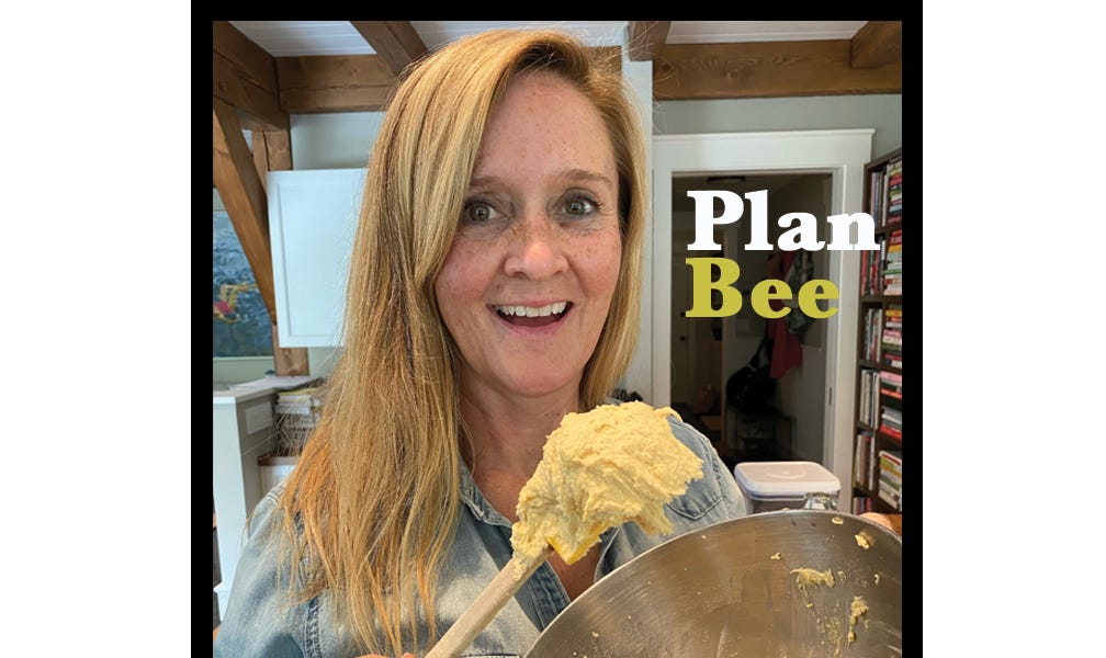 Avalanche Surfing - Samantha Bee