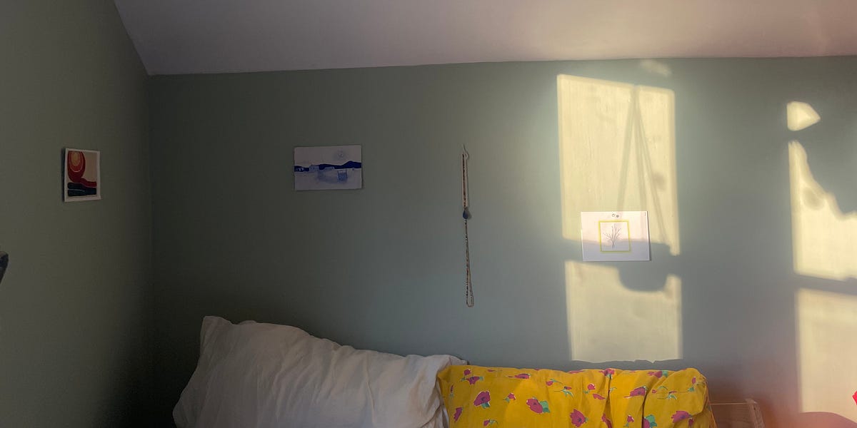 columbine - lizzie’s Substack