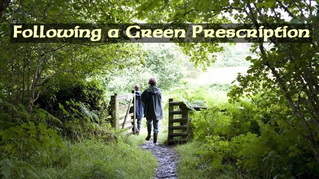 Us And Trees, A Green Prescription? - by John Willmott