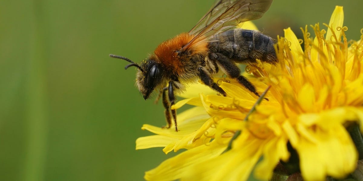 Be Aware -- Bob Loukas - Jay’s Substack