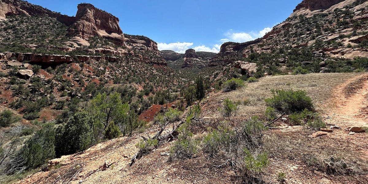 what's your weird? - by Courtney Zanosky - lingerings.