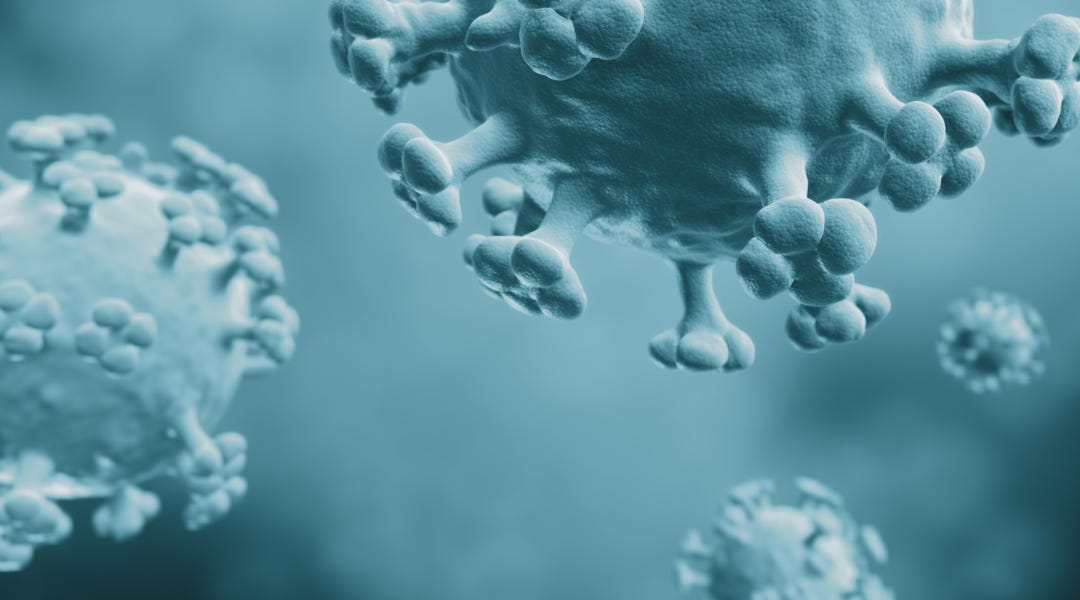 The Influenza Virus - The Herbal Prescriptive’s Substack