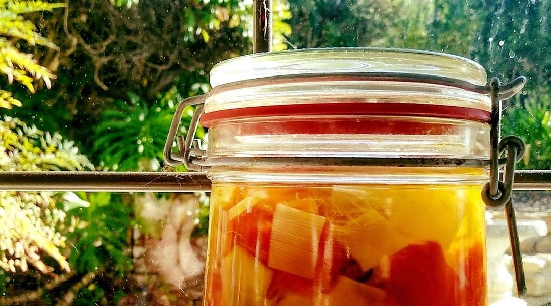 Vegetable Fermentation 101 - Montagu Food Forest