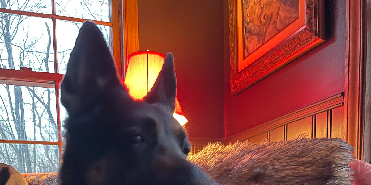 The Picture of Erudition - by J. F. Riordan