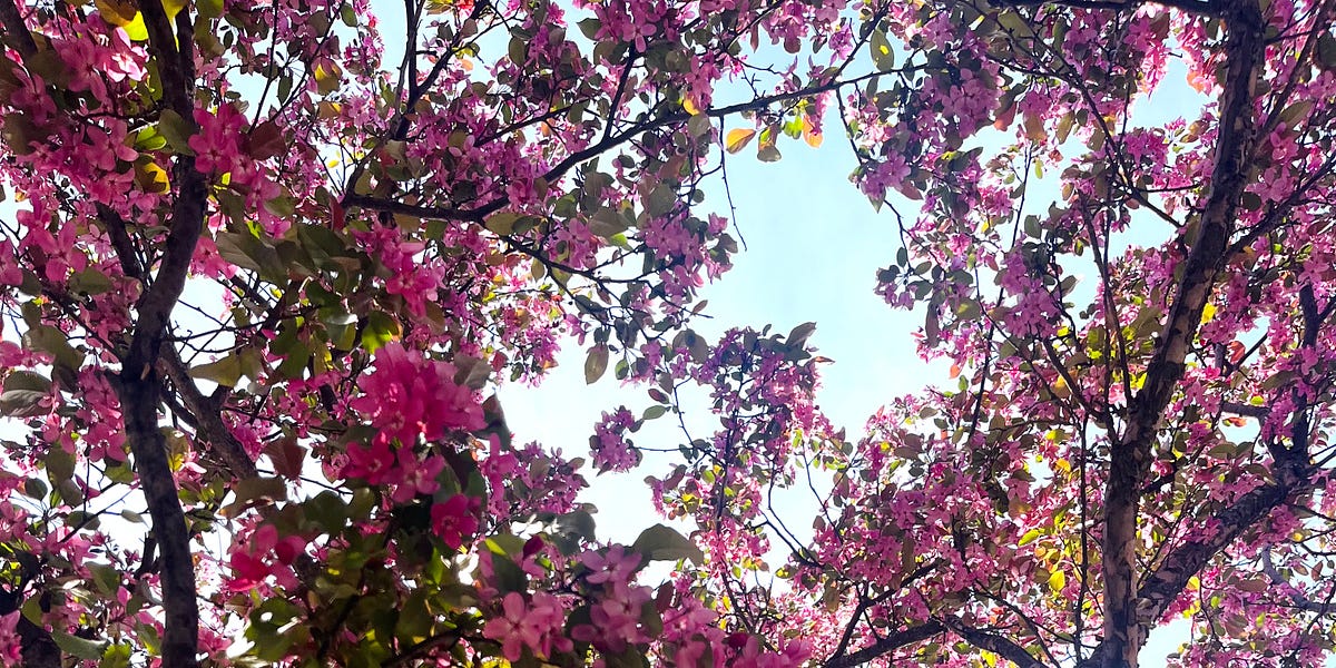 nothing - by laura hoenack - Lulubeans