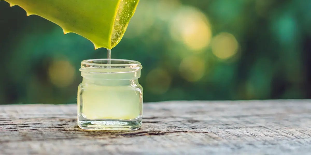 Aloe Vera – Efeitos sobre a glicose no sangue e benefícios