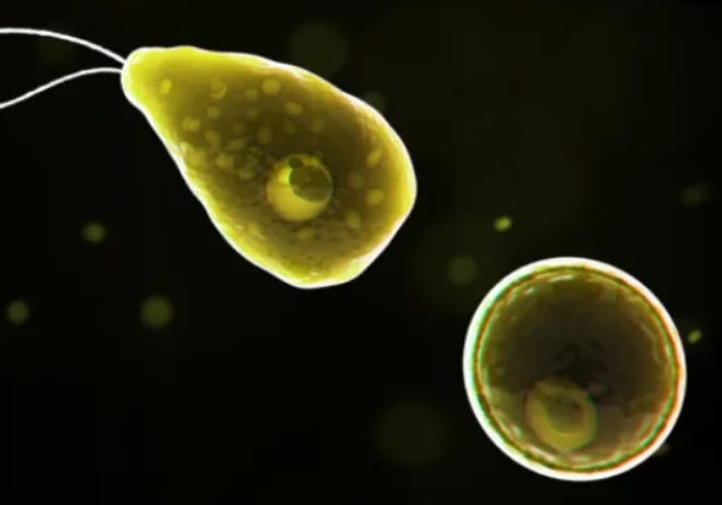 Jennifer Cope, MD - by Robert Herriman