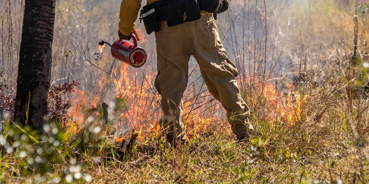 What is The Firebreak? - THE FIREBREAK