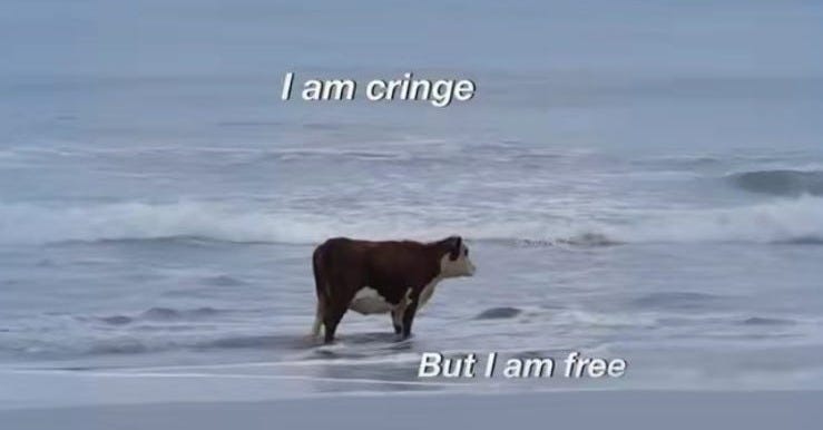 I Am Cringe. But I Am Free. - Kyle Thiermann