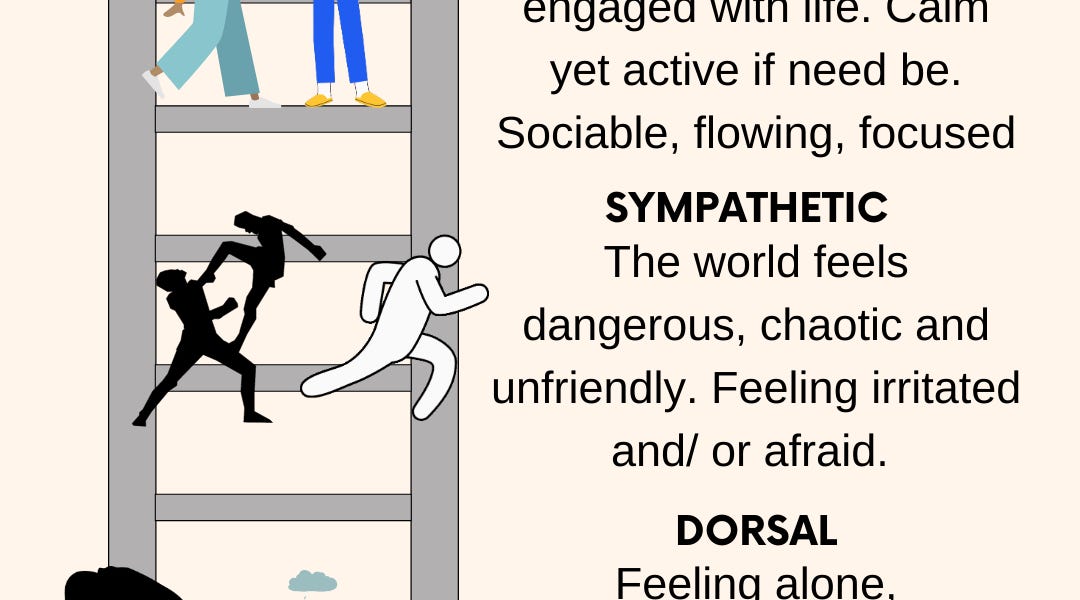 Intro to the Autonomic Hierarchy (Supplementary Post)