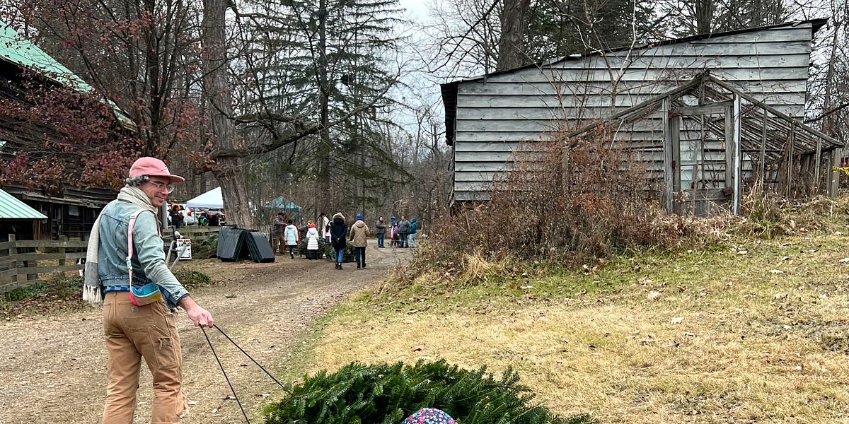 An Ode to Cones - by Chris Baker - The Oyster Log