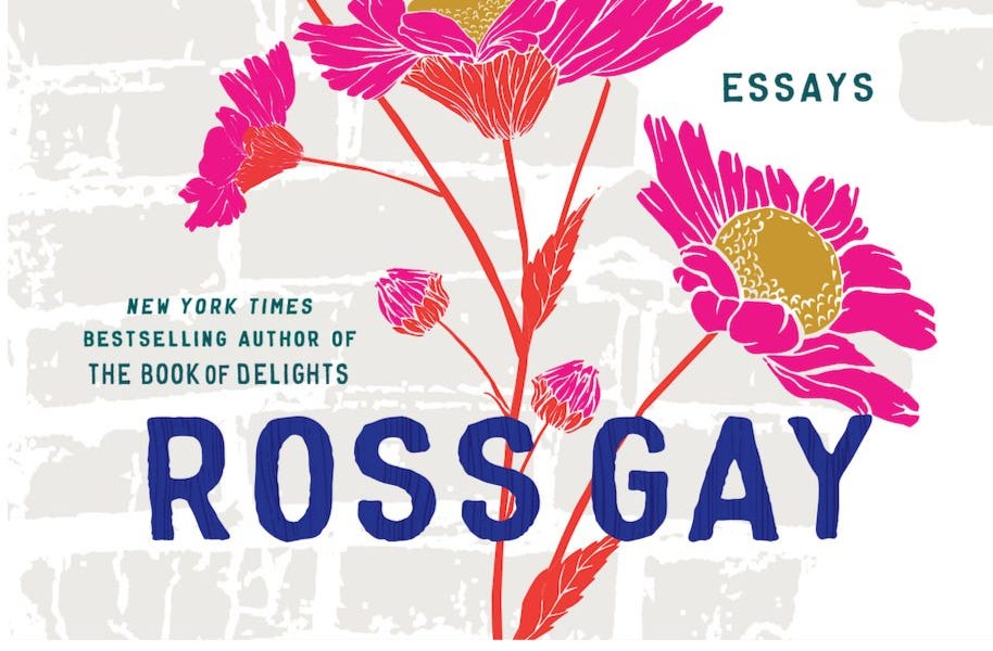 Gentle Conversation with Robyn Ryle - by Satya Robyn