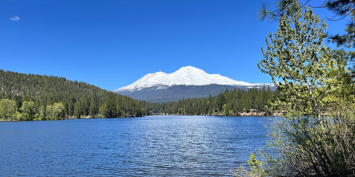 Mt Shasta Transmission - Vaz Sriharan