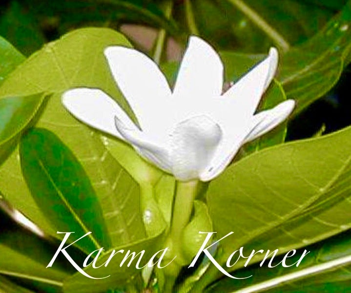 "KARMA KORNER®" the 10 of Clubs - Deborah Magone’s Substack