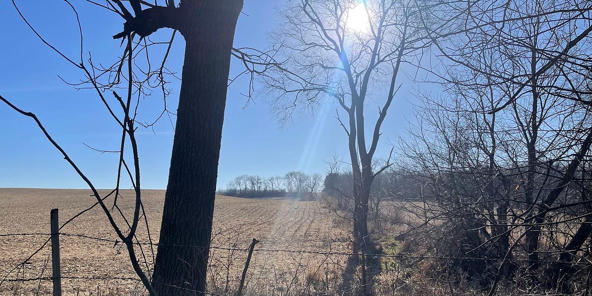 Seasons of Your Day: Part Deux - by Mark E. Griffin