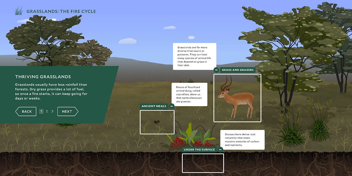 The Beast Cube - by Sray Martin - Sitara Systems' Substack