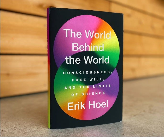 Reception for The World Behind the World - by Erik Hoel