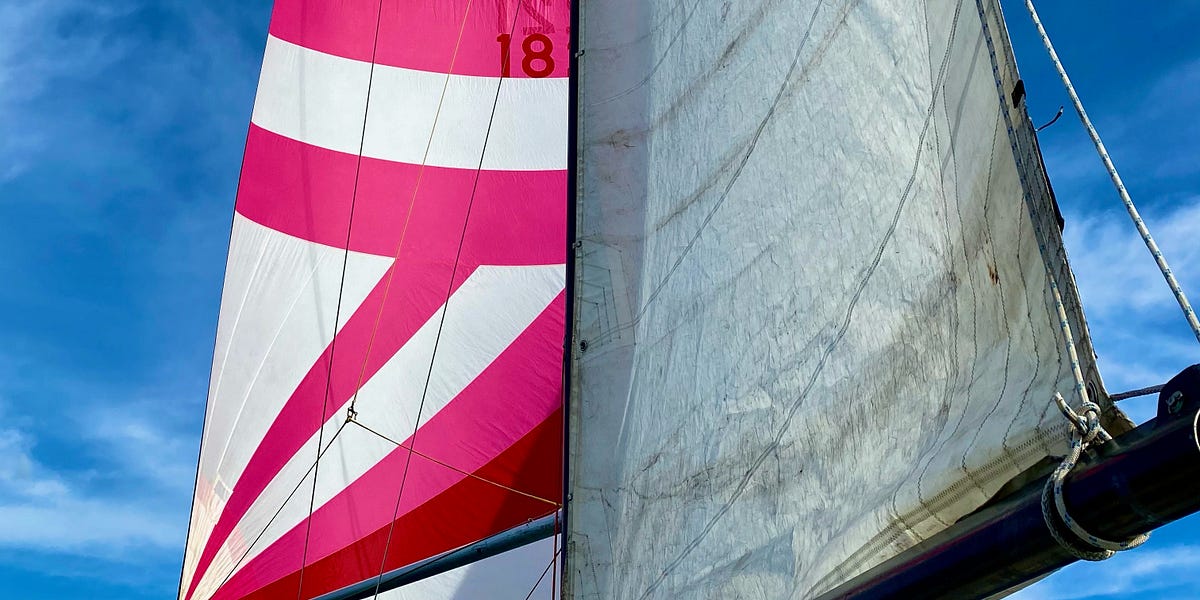 Wind - by Sally Lee Stewart - Sally’s Substack