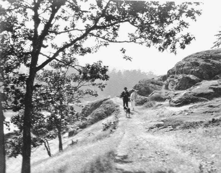 The Barde Knockie Trail, Metchosin, 1850's - by Sue Harper