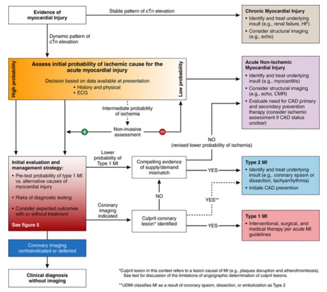 Infarto do Miocárdio Tipo 1 vs Tipo 2