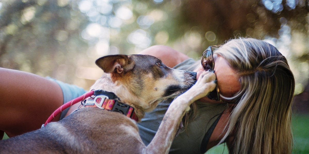 The Beautiful and the Unbearable