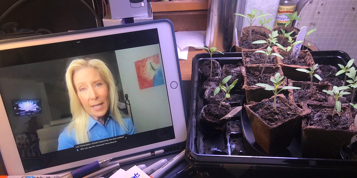 Late Summer Hopium Chronicles Paid Subscription Drive - Help Me Get to 300