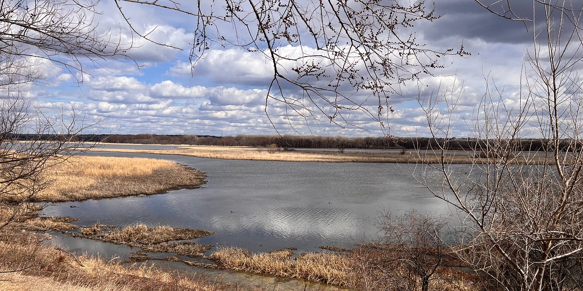 Comments - Remaking the world - by Carmine Hazelwood