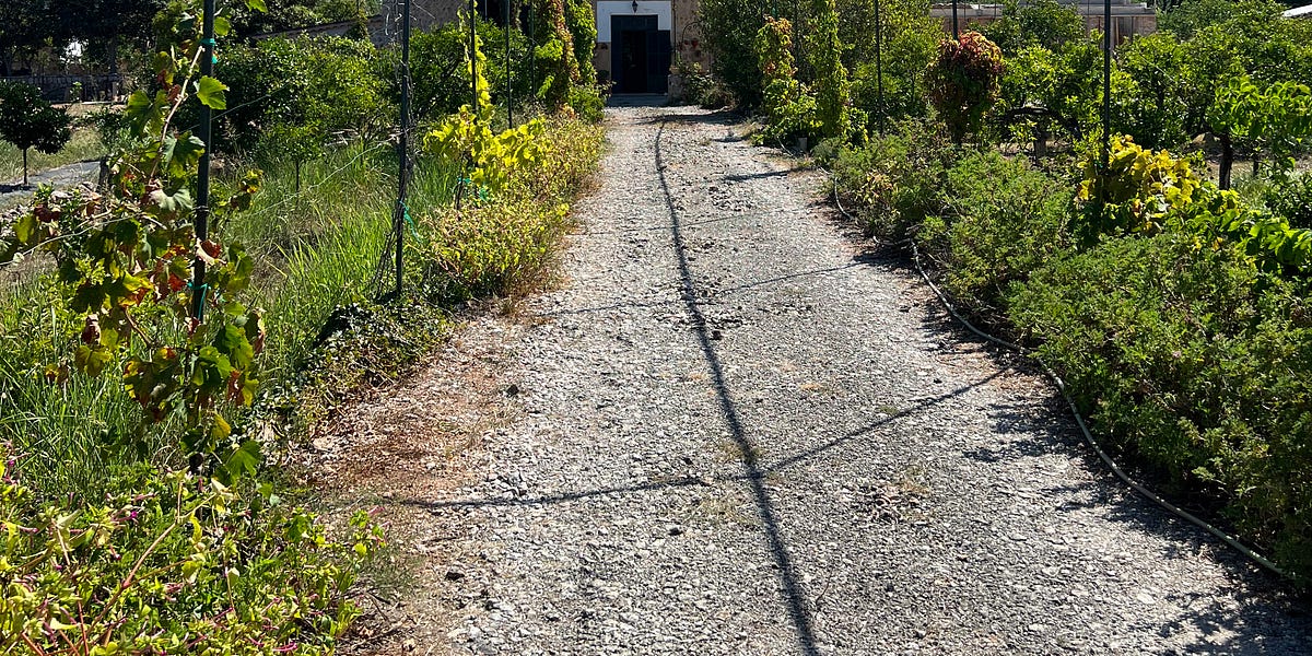 Body of Work - by Meghan Marsh King - Body of Work