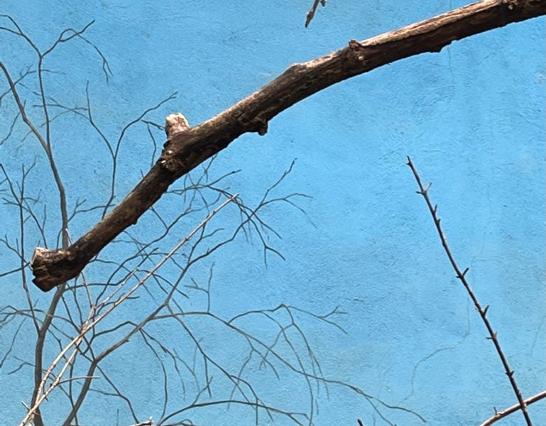 Fragments of Things I've Written - by zibby - Zibborazzi