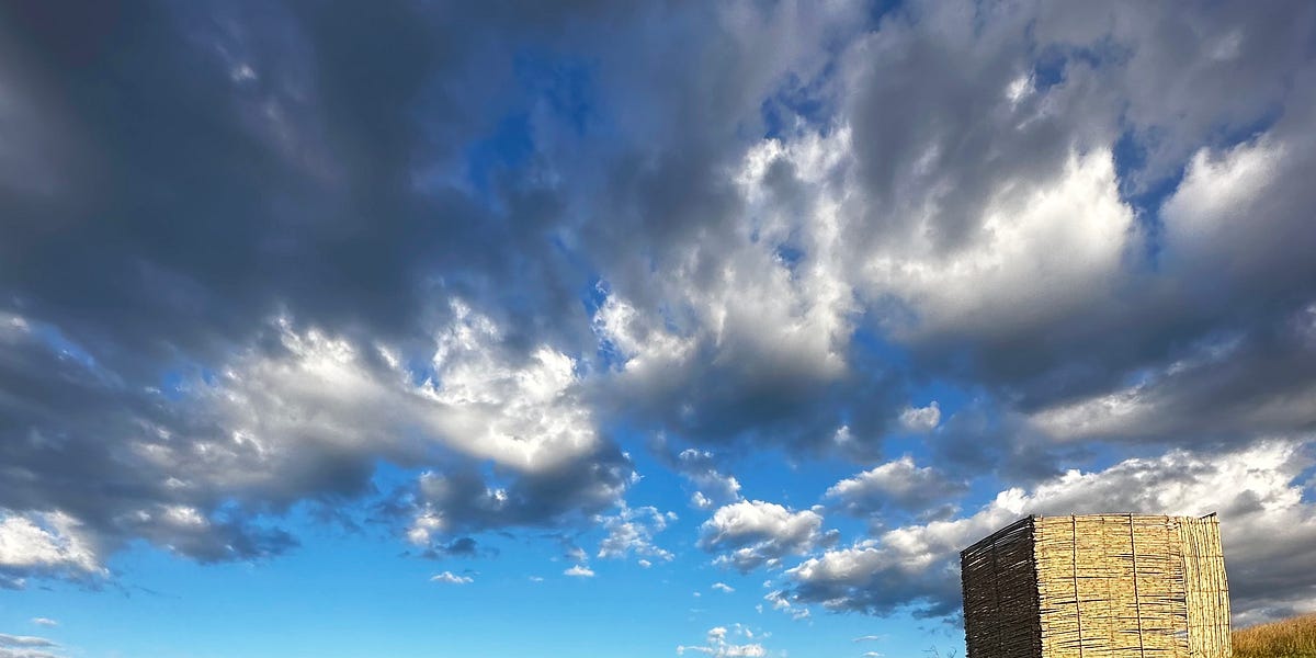 LAURA THE EXPLORER - by Laura Brown - Laura’s Substack