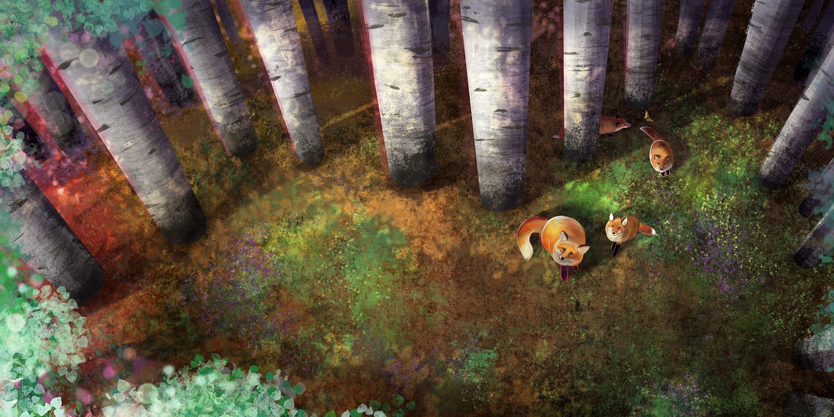 Six Different Perspectives for Illustrations in Children’s Book