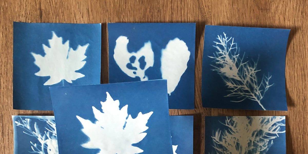 Cyanotype for nature journaling - by Kristin Link