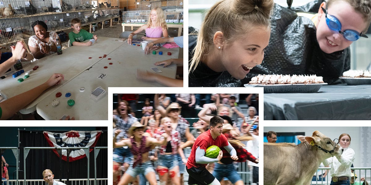 Greased watermelons and all: More scenes from the Tippecanoe County 4-H ...