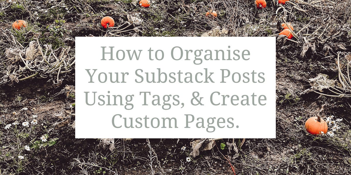 How to Organise Your Substack Posts Using Tags.