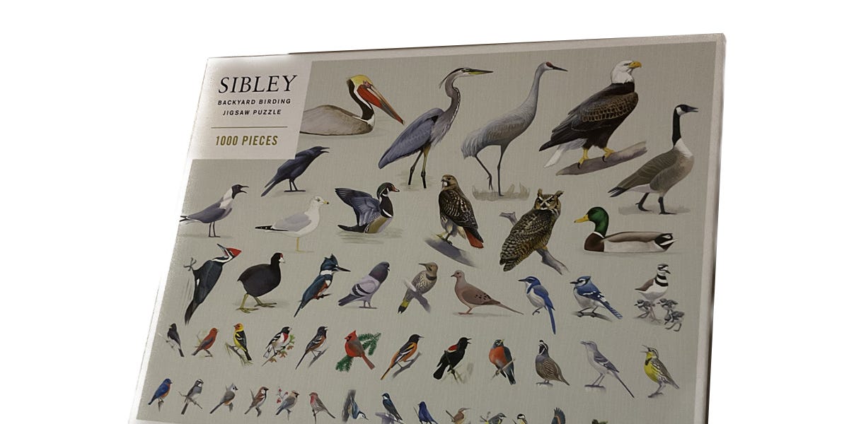 Object 166 - 1000 Objects