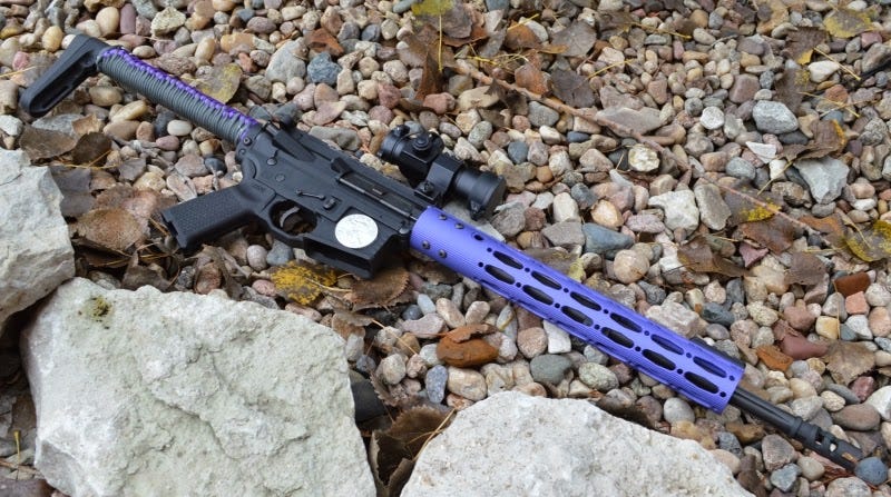 Purple Passion AR15 for Mrs. Pandemic