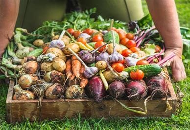 The Future of...Farming - by Pax - Writing The Future