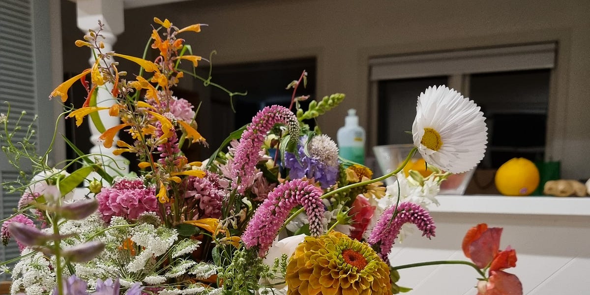 Celebrate New Year in Madness - Walk With Me