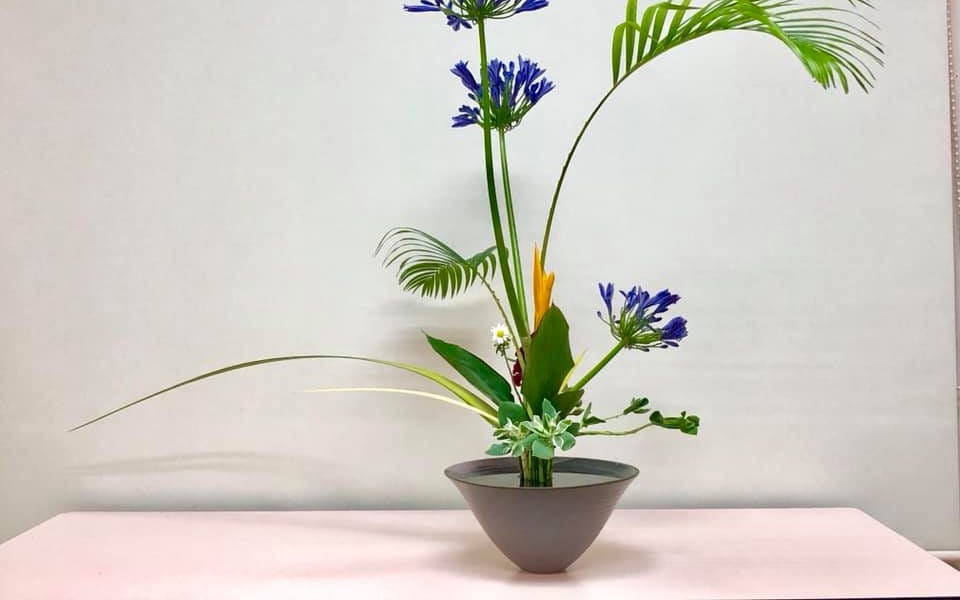 How far can mindfulness take us? - by Dominique Side