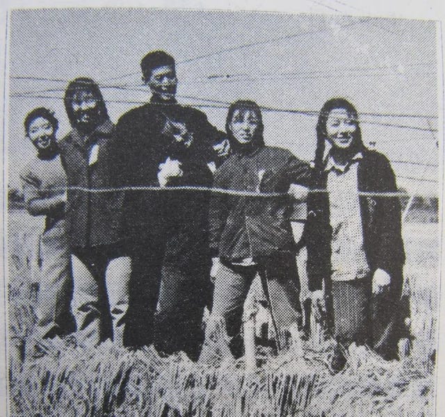 Book Review: “Lysenko’s Ghost” and “Lysenko and the Tragedy of Soviet ...