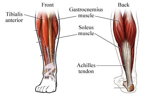 #21 El eslabón débil: la dorsiflexión